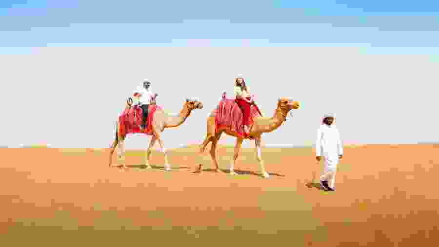 4-Hour Red Dunes Desert Safari with Quad Bike and Camel Ride