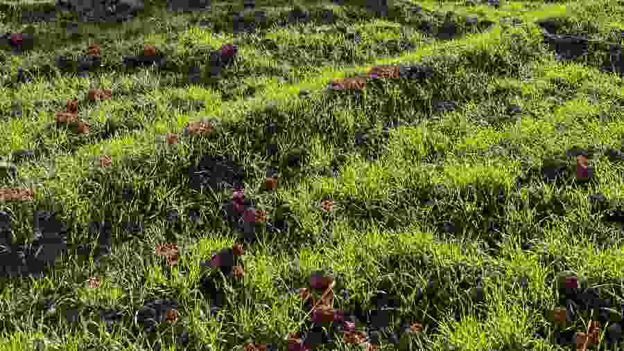 Full-Day Ourika Valley and Setti Fatma Waterfalls Tour from Marrakech