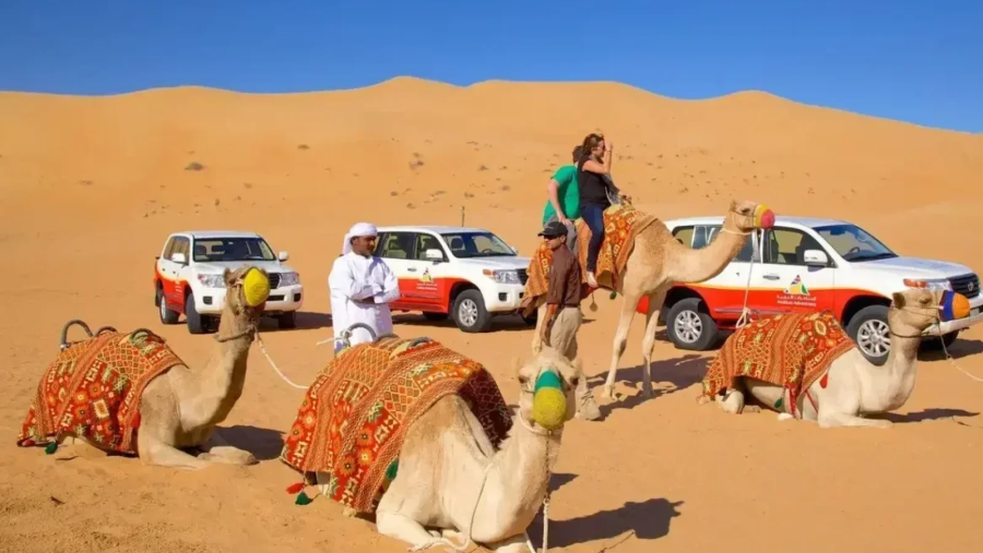 4-Hour Doha Desert Safari with Camel Ride, Sandboarding and Inland Sea