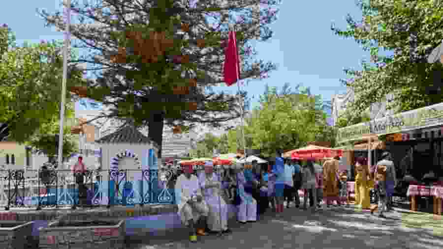 Full-Day Chefchaouen Blue City Tour from Fes