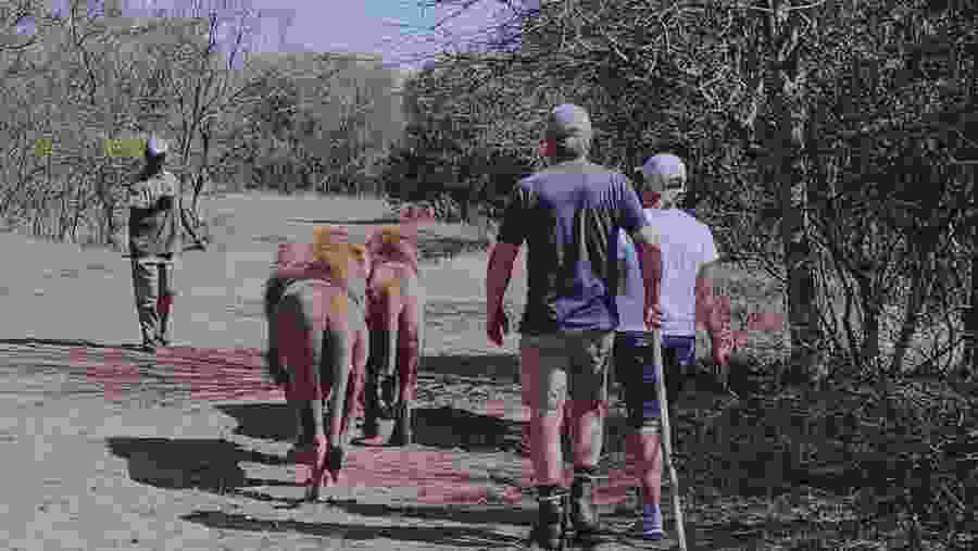 6-Hour Thrilling Bushwalk at Ukutula Nature Reserve