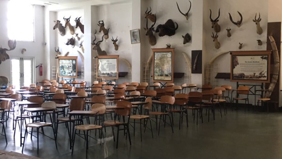 College of African Wildlife Management, Moshi & Mweka Gate Day Tour