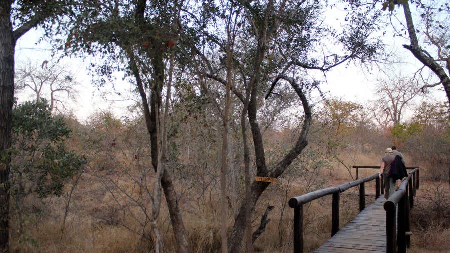 Bush Whisper Expeditions - Private Tour Operator in Johannesburg, South ...