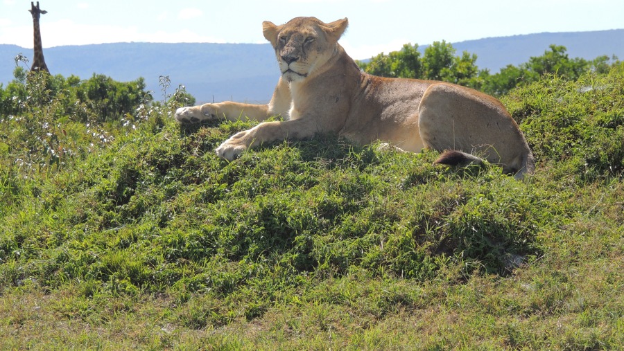 Bonfire Adventures and Events Ltd - Private Tour Operator in Nairobi ...