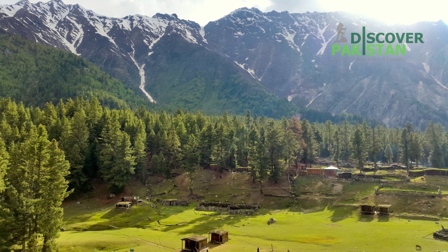Discover Pakistan Tours & Trekking - Private Tour Operator in Islamabad ...