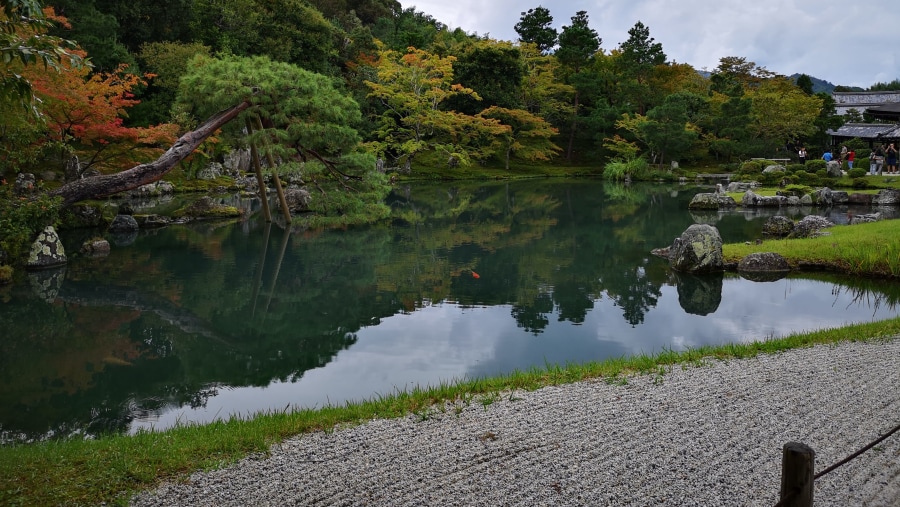 Mike Masaki Private Tour Guide in Kyoto, Japan – tourHQ