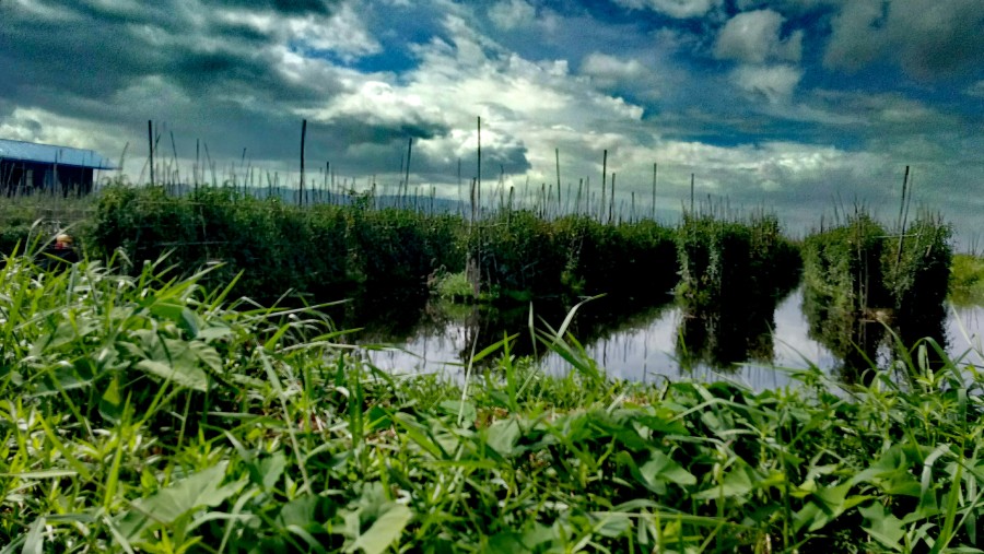 Thandar Soe Private Tour Guide in Yangon, Myanmar – tourHQ