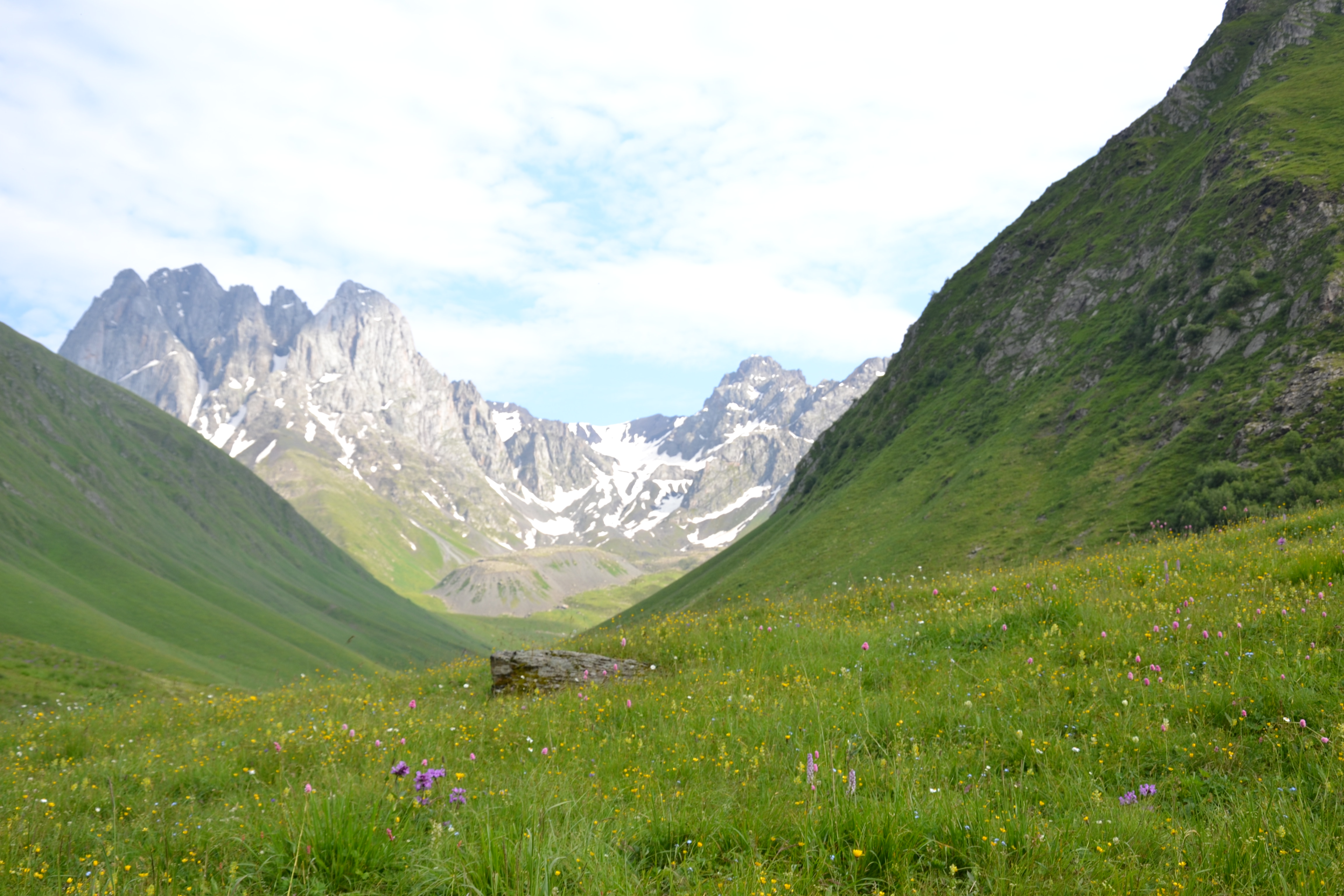 Gori - hour Private Tour Package | Nature, Architecture and Walking ...