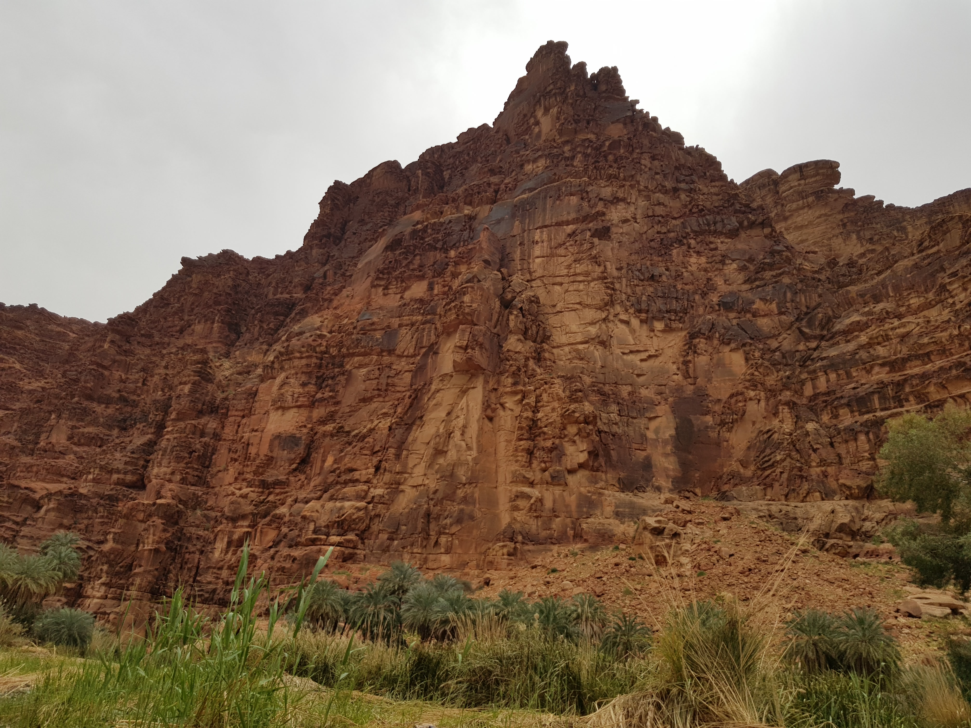 Tabuk, Duba, Makna - hour Private or Group Tour Package | Nature ...