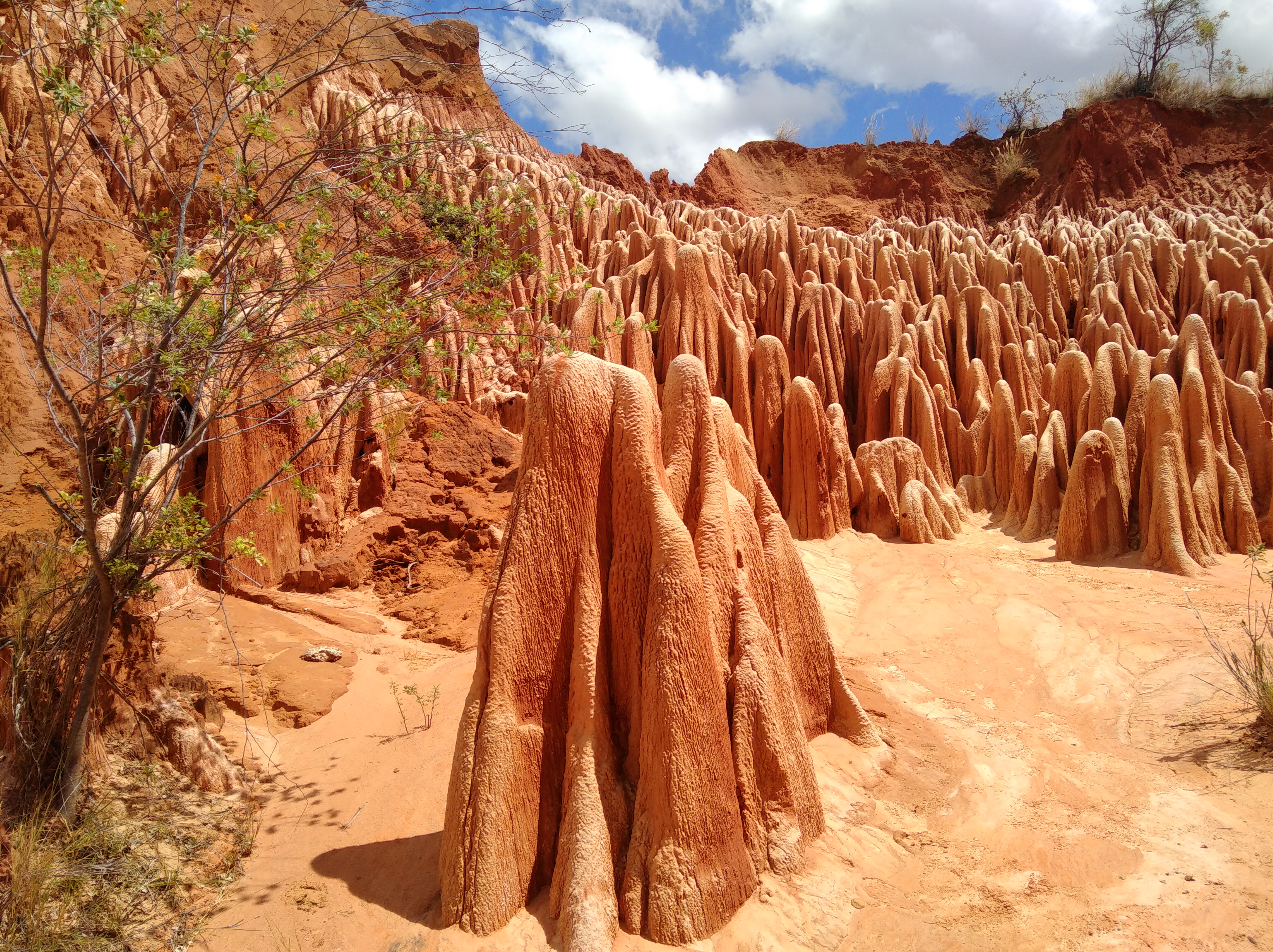 Red Tsingy Madagascar