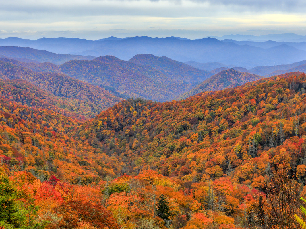 Discover Elkmont: Private Great Smoky Mountains Jeep tour