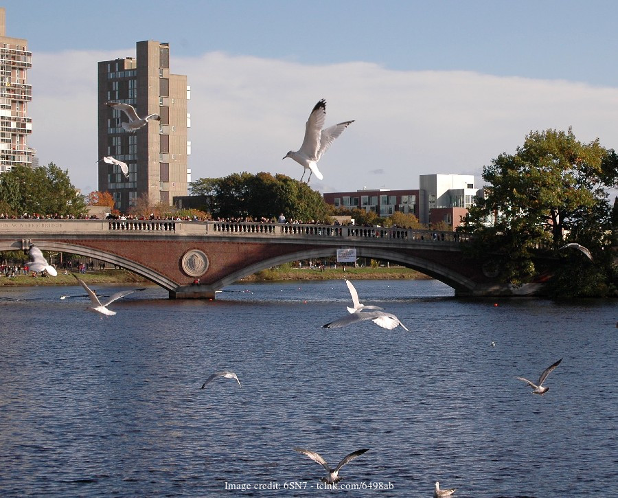 Harvard Bridge, Boston