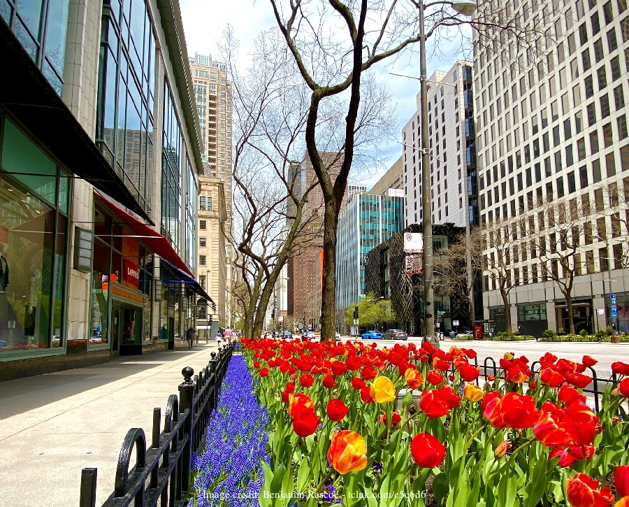 The Magnificent Mile, Chicago