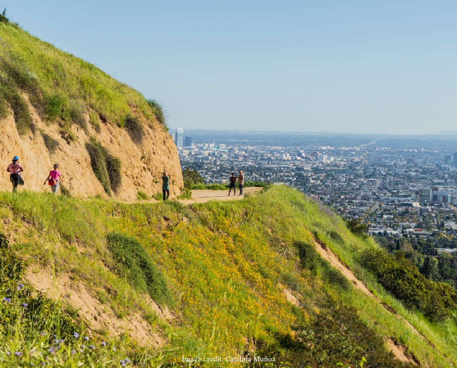 Hogback Trail, Los Angeles