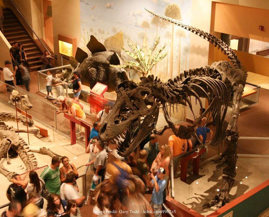 Fossil Hall at the Natural History Museum, Washington DC