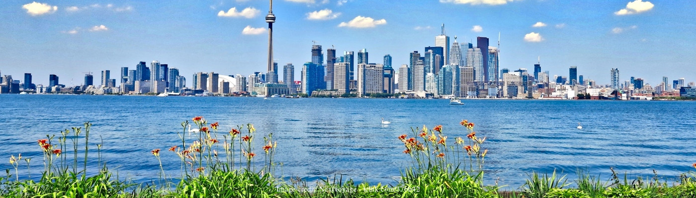 Welcome to Toronto: Private 2-hour Introductory Walking Tour