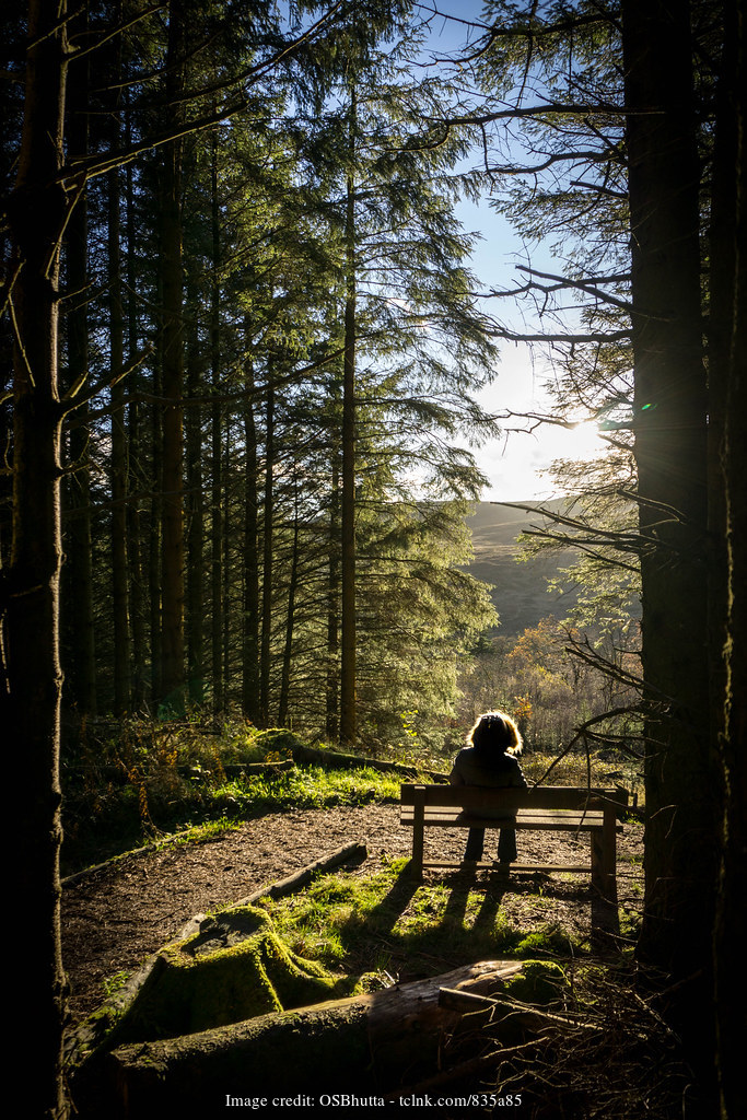 Queen Elizabeth Forest Park Tours | Edinburgh Tours | Touriocity.com