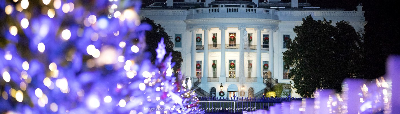 Christmas Lights: Washington DC Private Evening Walking Tour