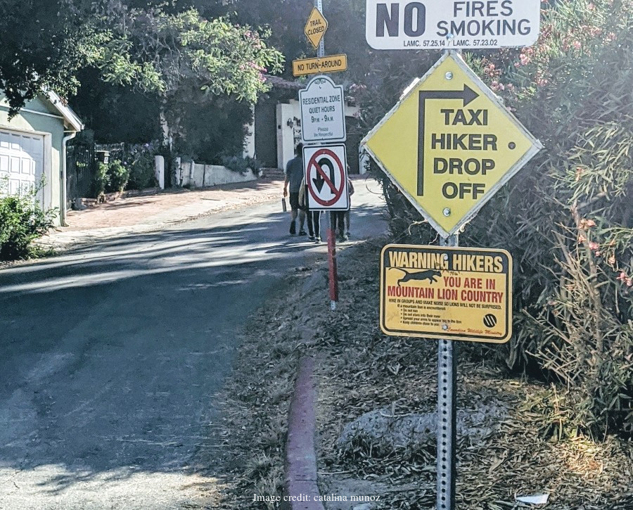 Wonder View Trail, Los Angeles