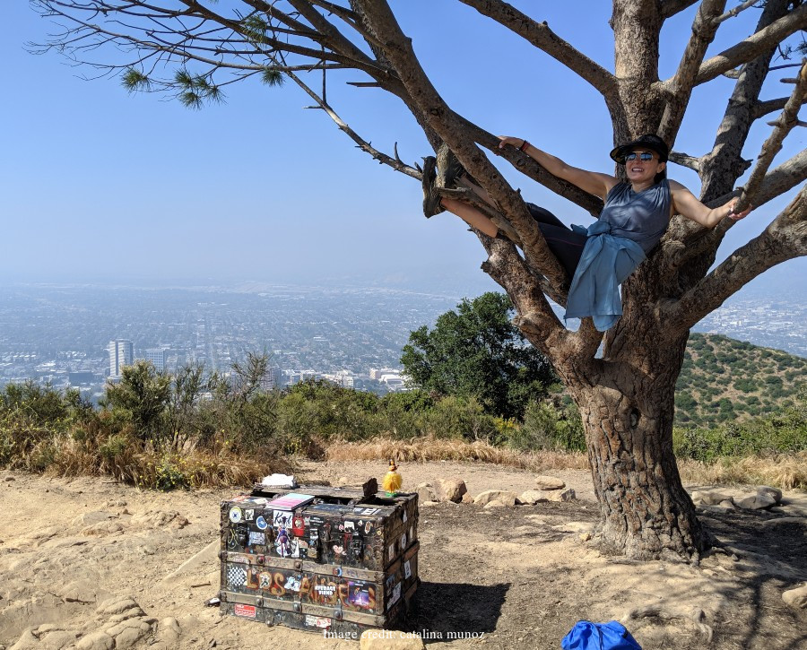 The Wisdom Tree, Los Angeles