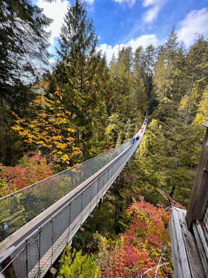 Private Vancouver ALL IN ONE Full Day City Tour with 20 Attractions