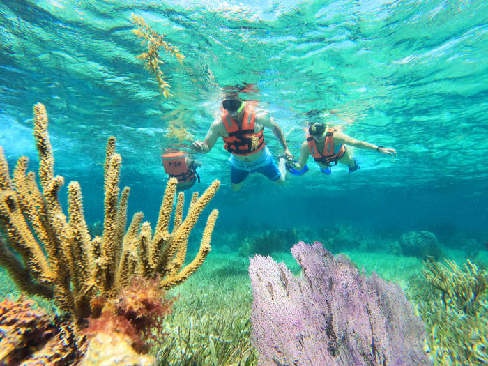 Small-Group 3 Hidden Cenotes Adventure with Tequila Tasting
