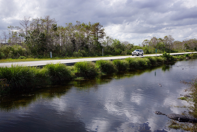 Tamiami Trail, Miami
