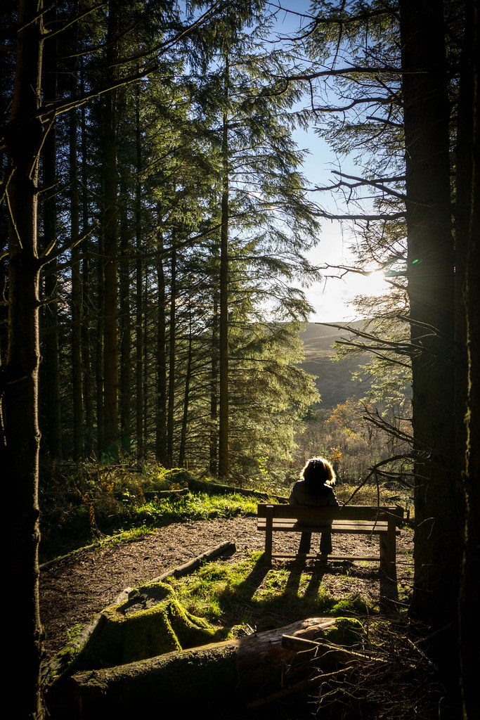 Queen Elizabeth Forest Park Tours | Edinburgh Tours | Touriocity.com