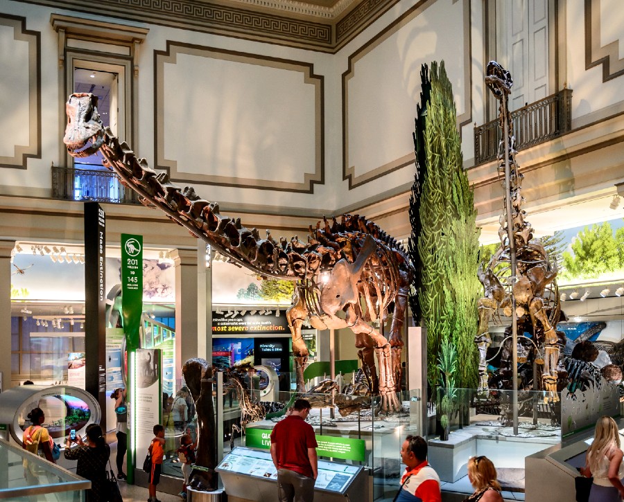 Fossil Hall at the Natural History Museum, Washington DC