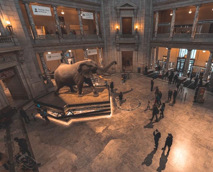 National Mall Tour with Washington Monument and 2 Museums