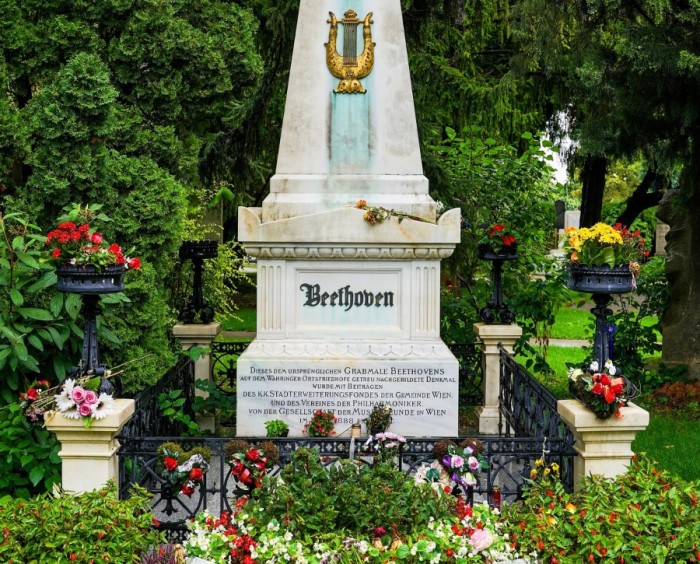 Vienna to Salzburg & Hallstatt: Scenic Alpine Day Tour