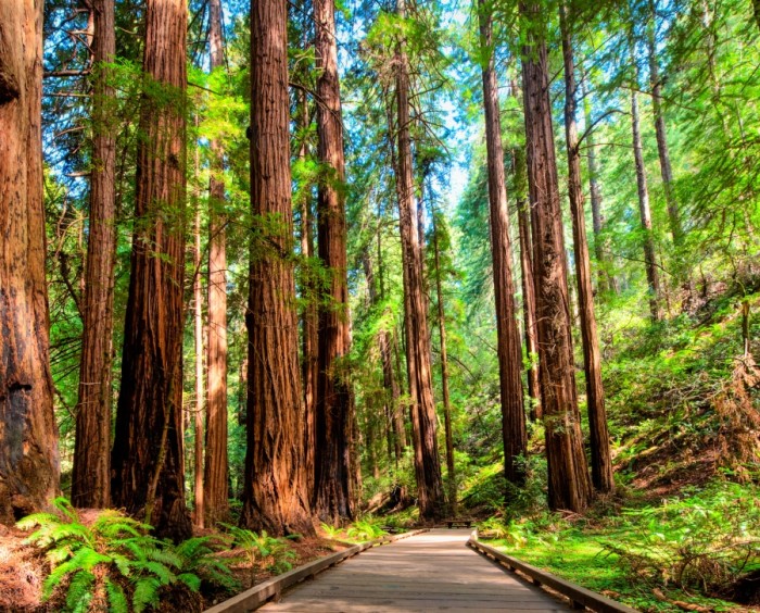 The Ultimate Wine Country Experience ( Private & All-Inclusive)