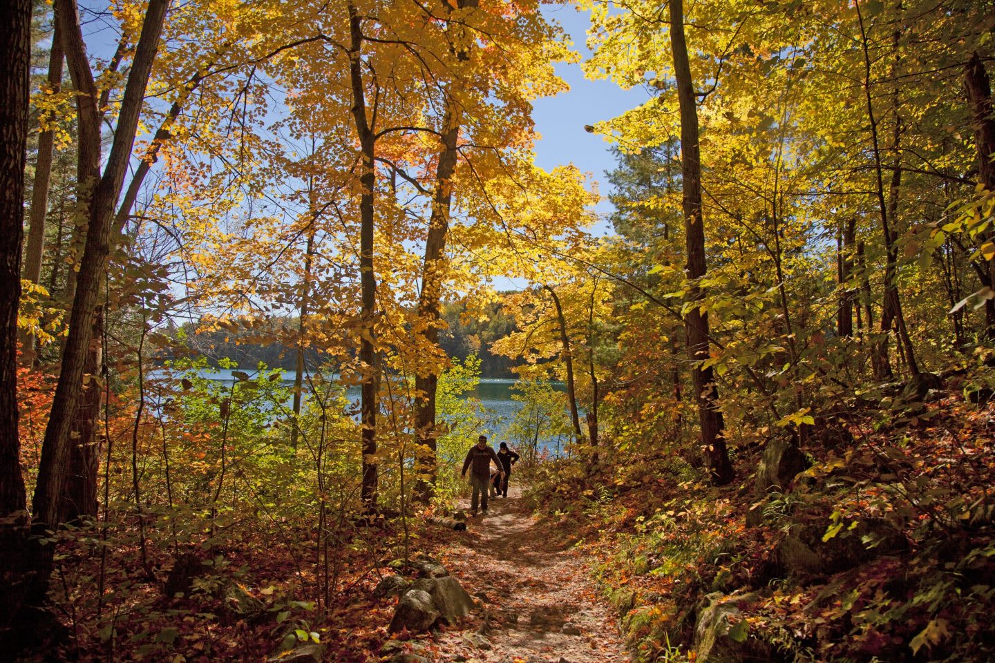 5 places to admire the fall colours in the Outaouais - Tourisme Outaouais