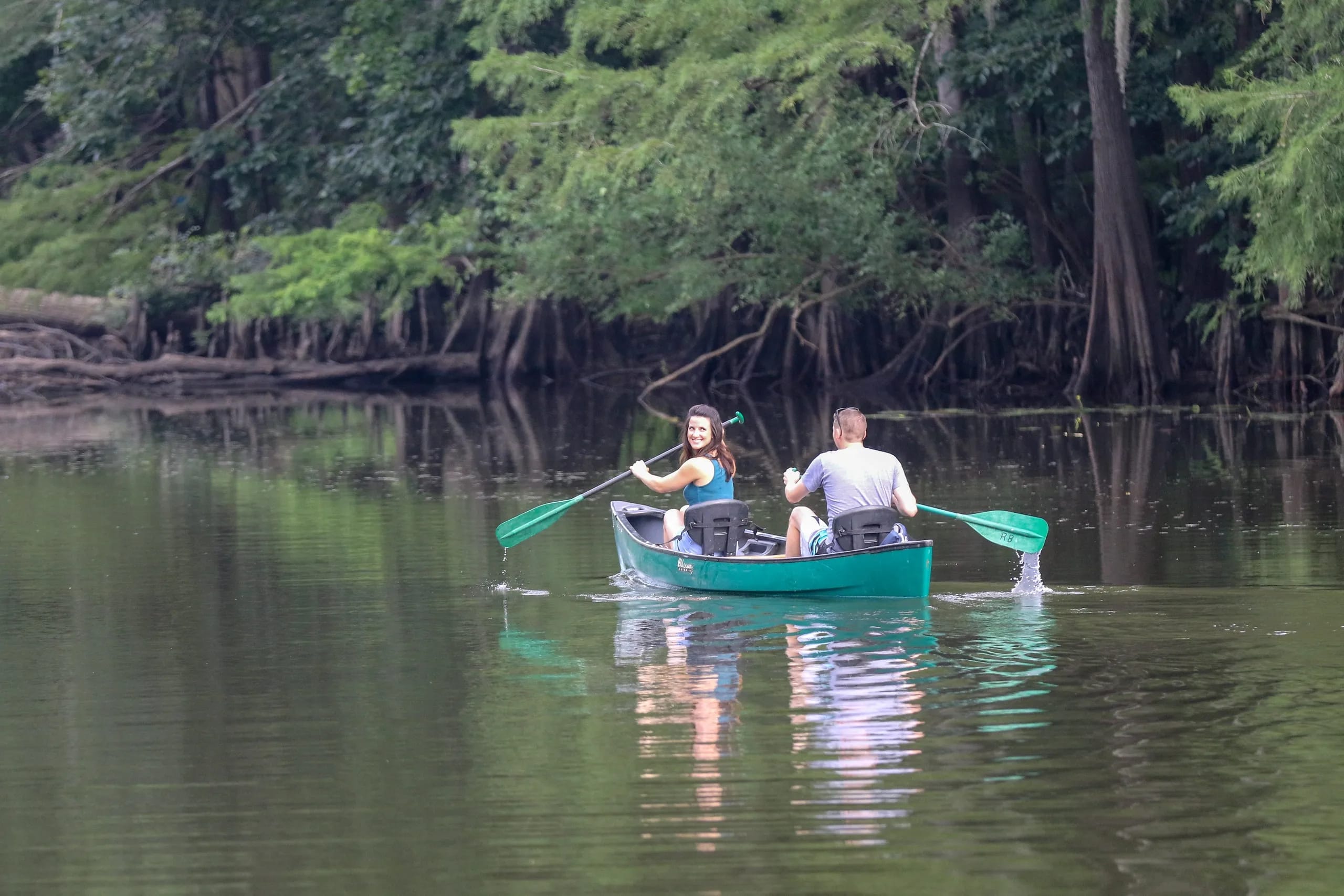 Things to do - Caddo Lake Bayou Tours