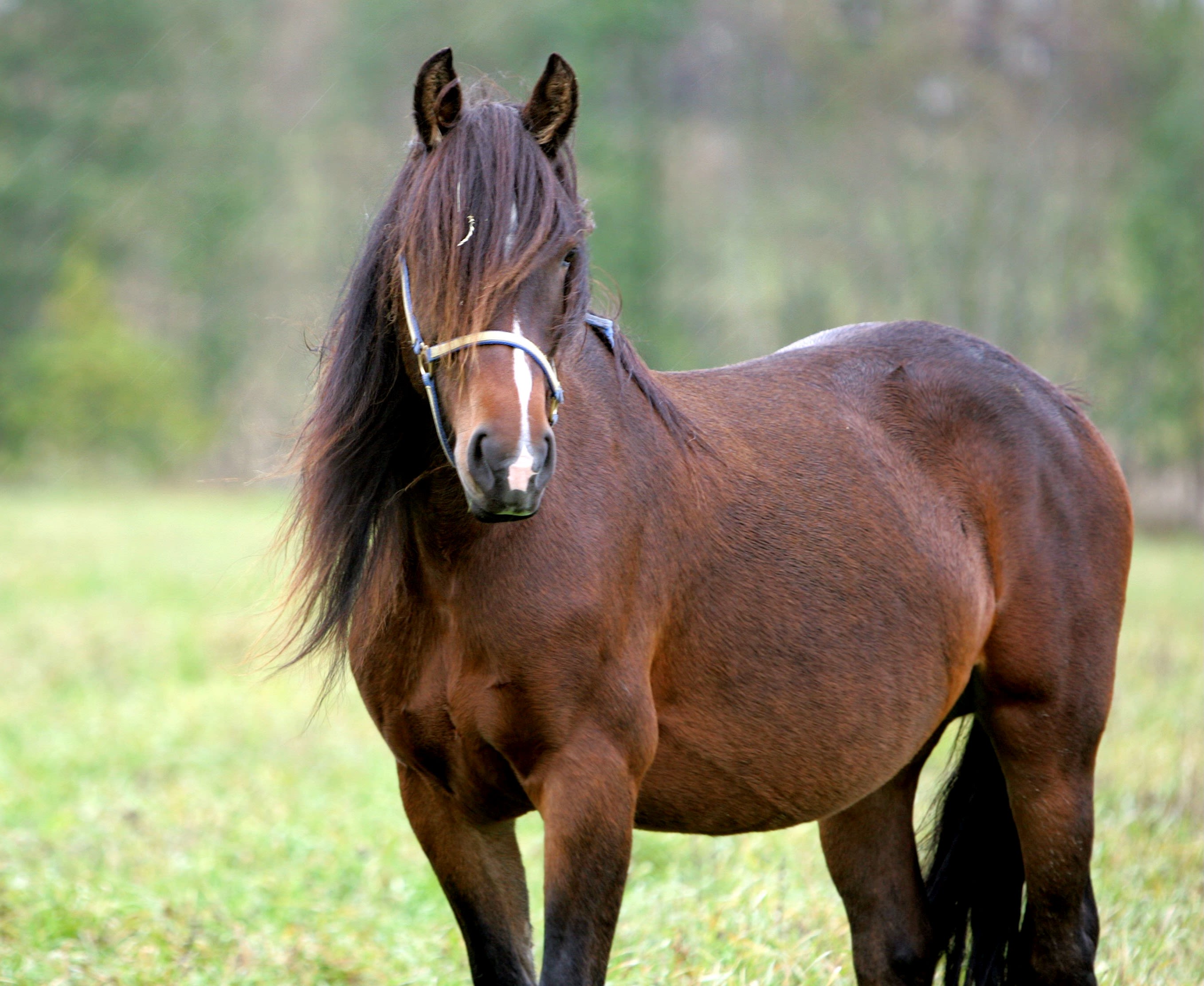 Betäckningsredovisning (språngrulla) - Breedly