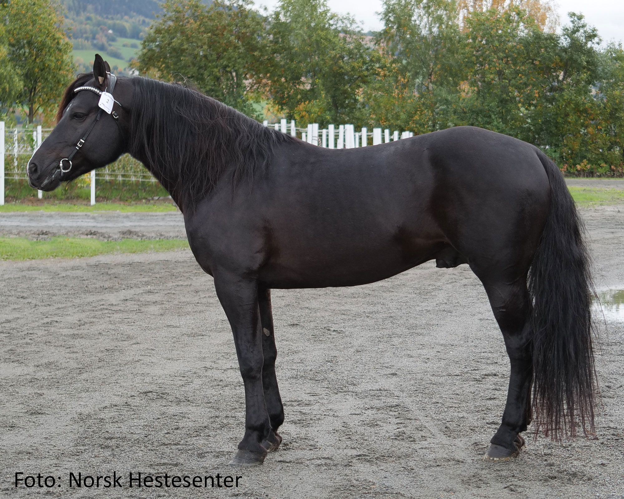 Alm Randers - Breedly