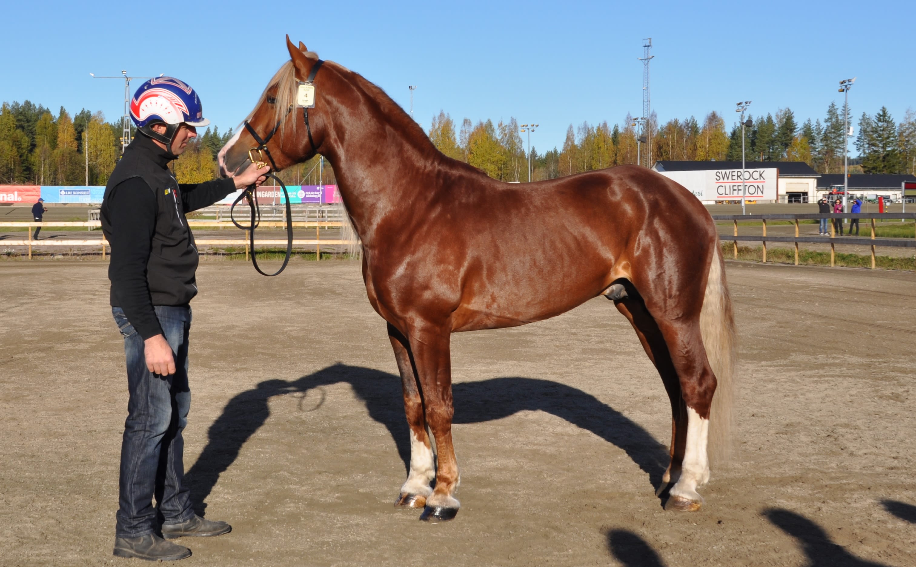 Myllkärrs Sune - Förärvning som far - Breedly