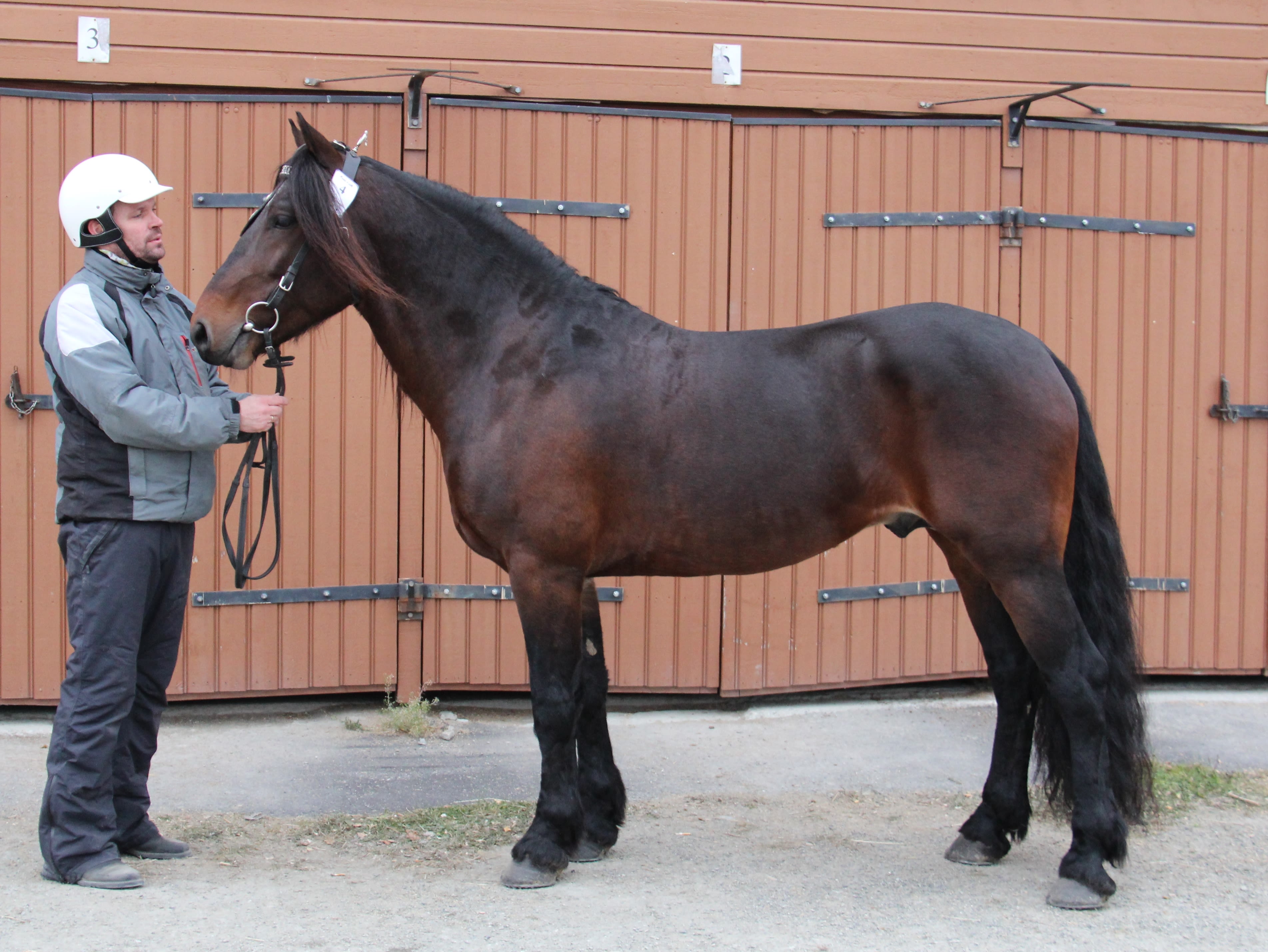 Pave Faks - Förärvning som far - Breedly