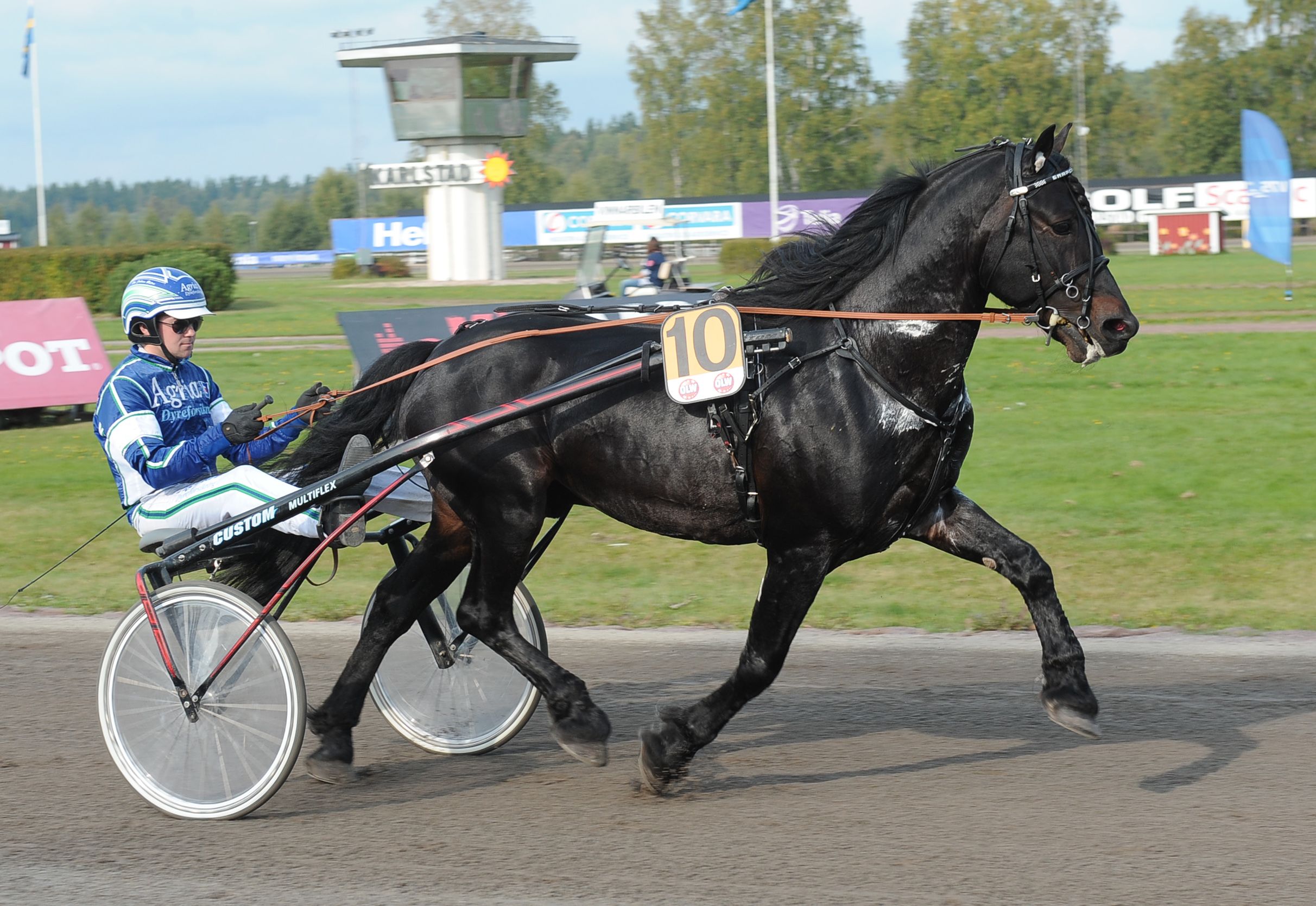 Särpefanten - Förärvning som far - Breedly