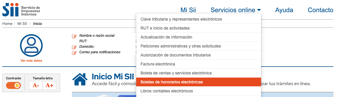 Emisión de boleta en dólares: tutorial paso a paso
