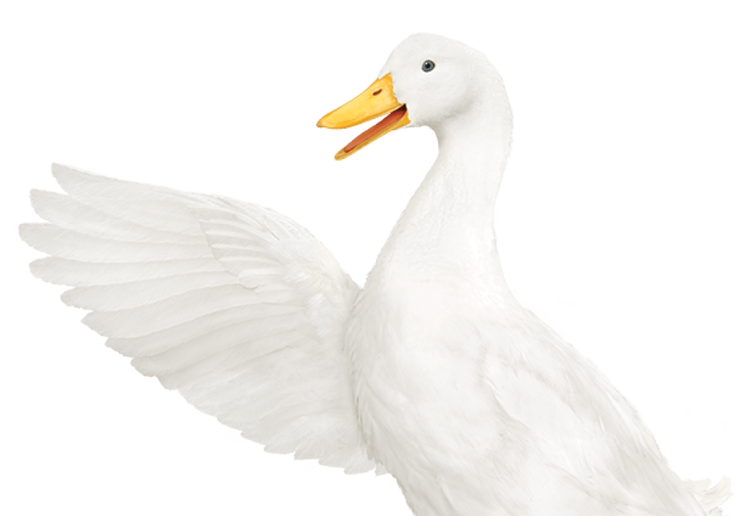 Welcome | Select Your State