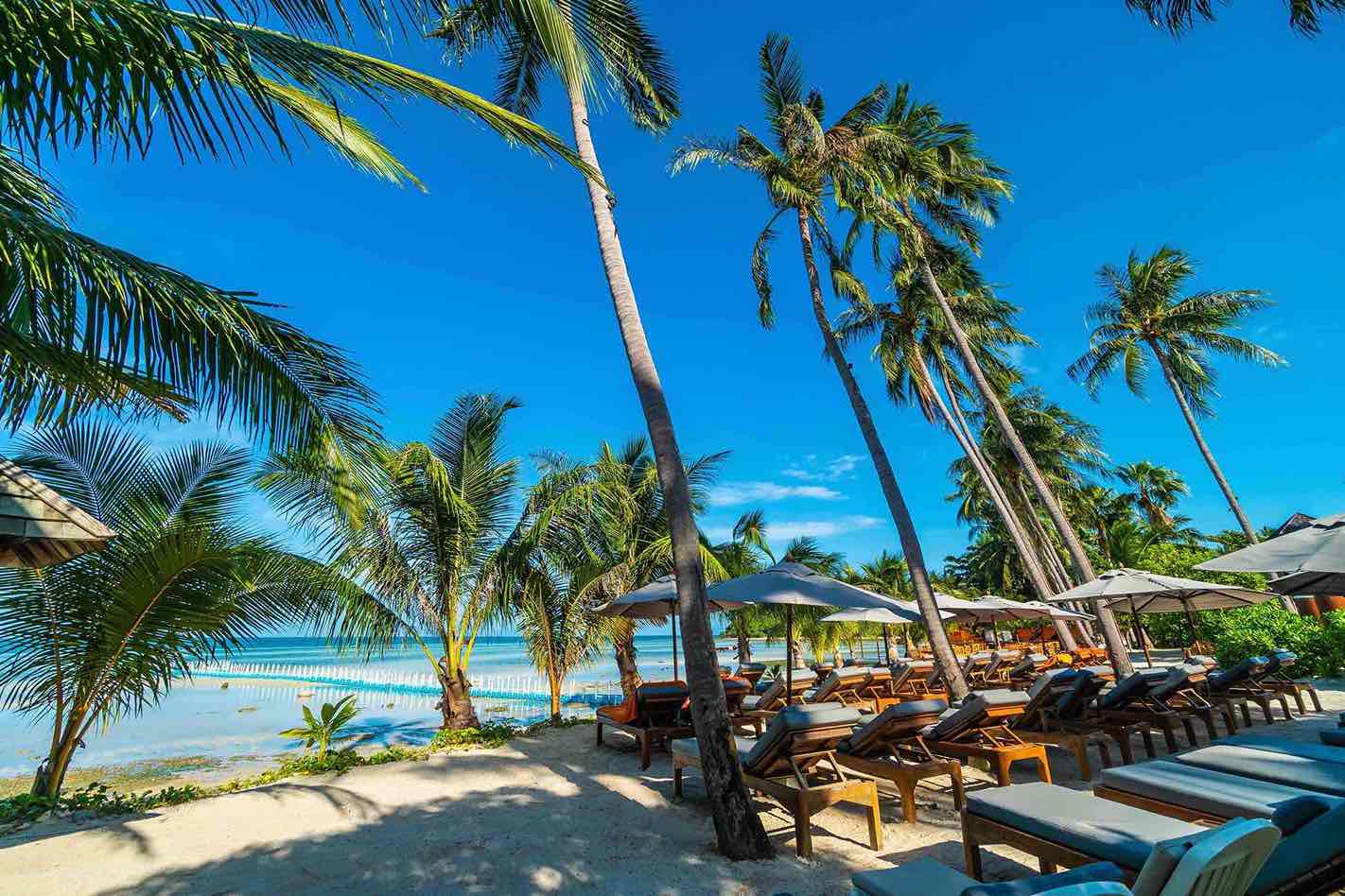 TOP TROPICAL ISLANDS TO VISIT IN AFRICA | Travelbeta Blog