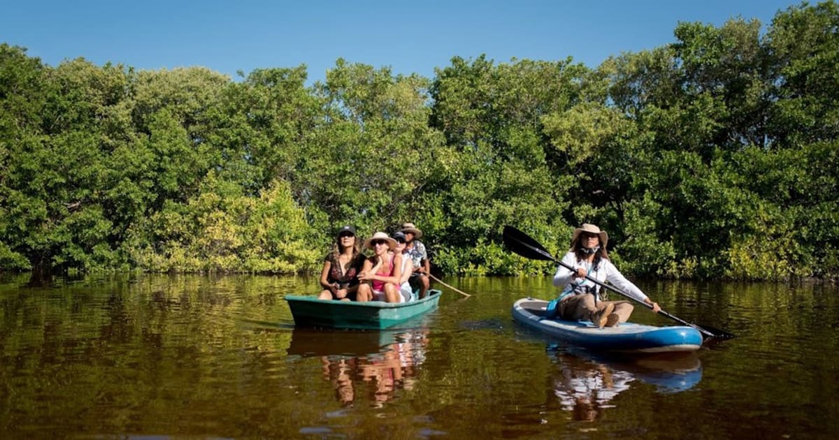 The Green Maya Project - Sustainable travel experiences in Yucatan ...