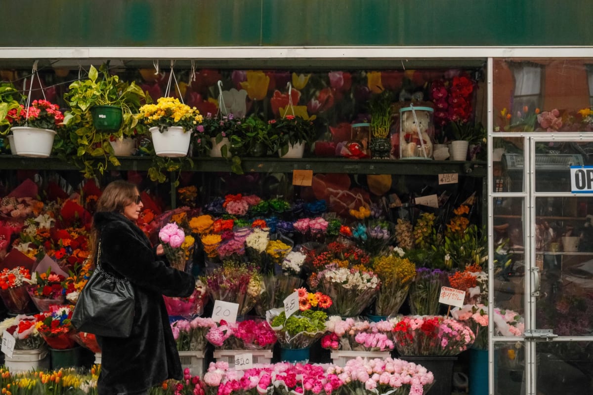 Romer Neighborhood Hotels