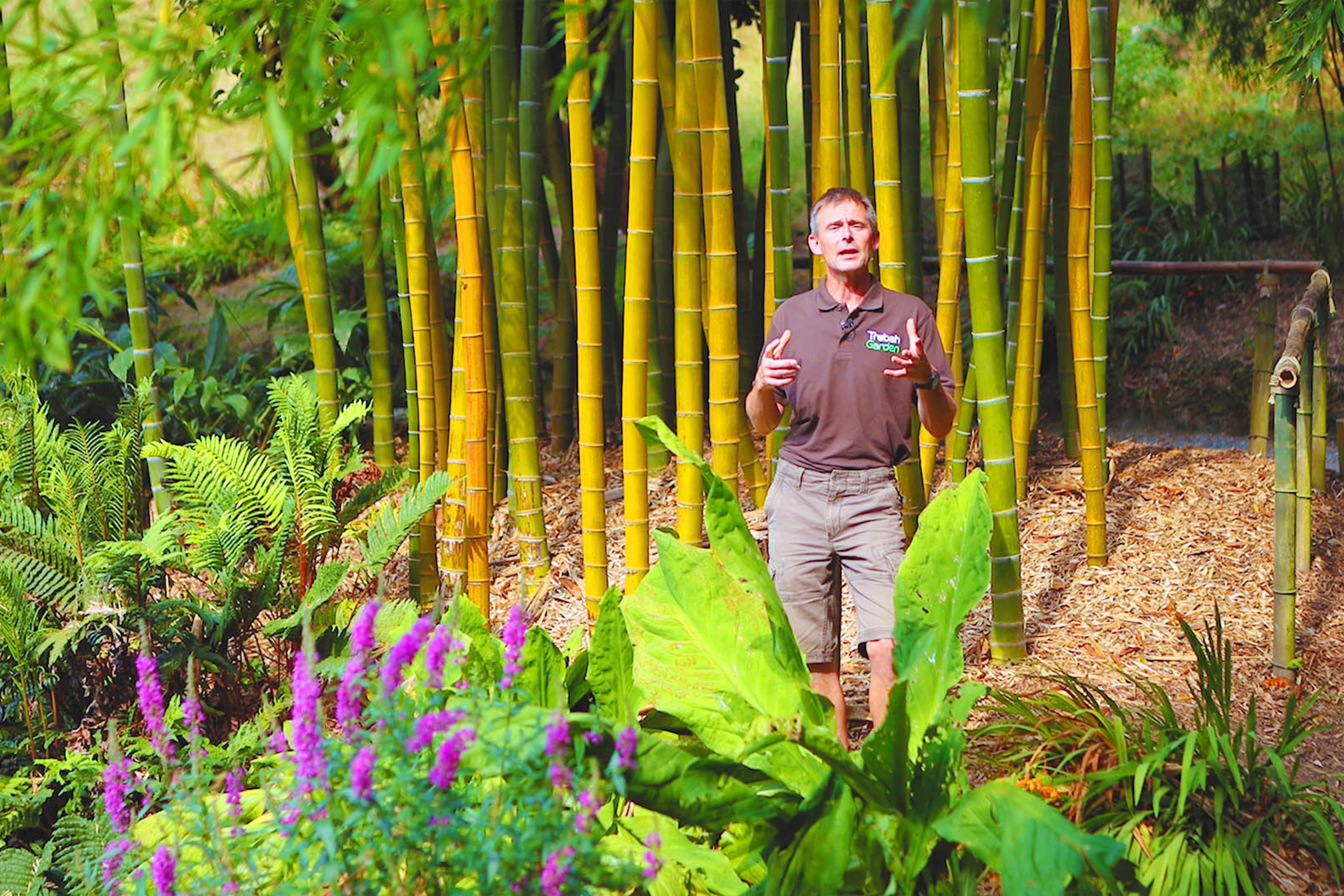 Darren's Diary | Trebah Garden Cornwall