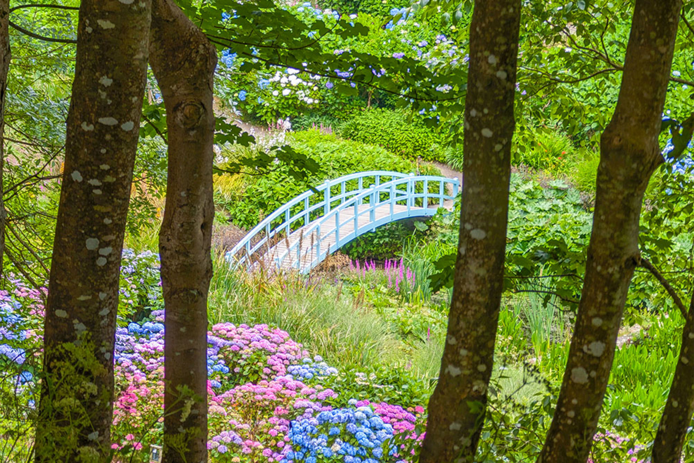 Spirit Of Trebah: Garden Remembers The Hibbert Family | Trebah Garden ...