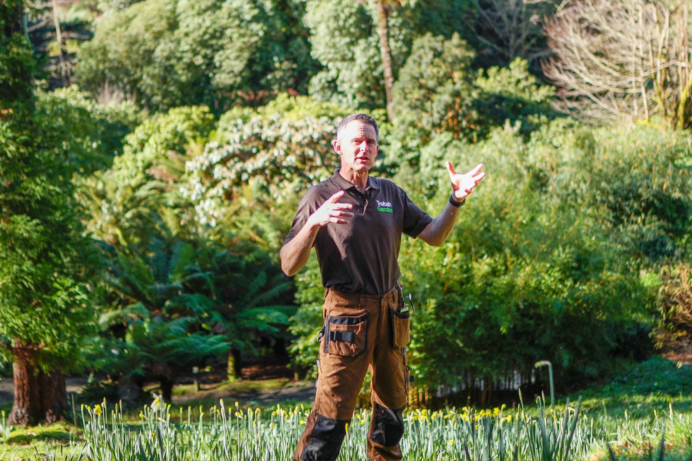 Darren's Diary | Trebah Garden Cornwall