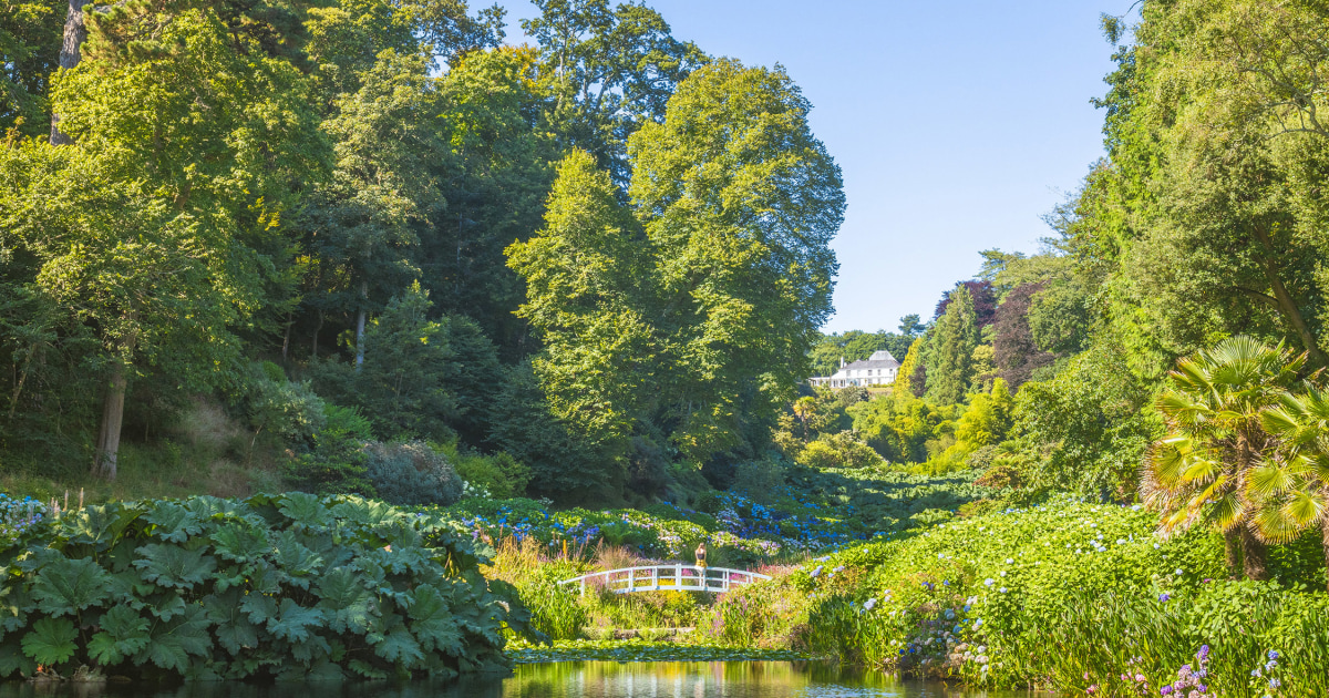 Zoolab Workshops - Trebah Garden