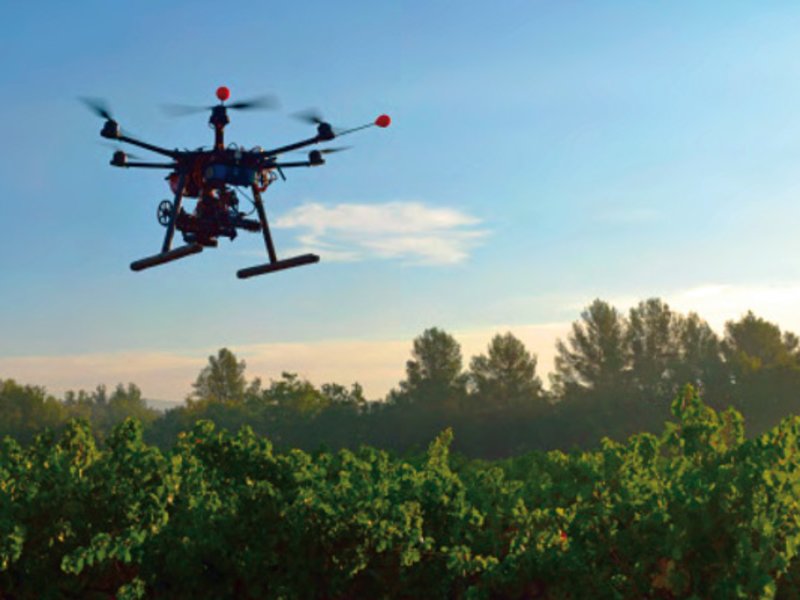 Drones Could Help Save the Environment Drones Could Help Save the Environment