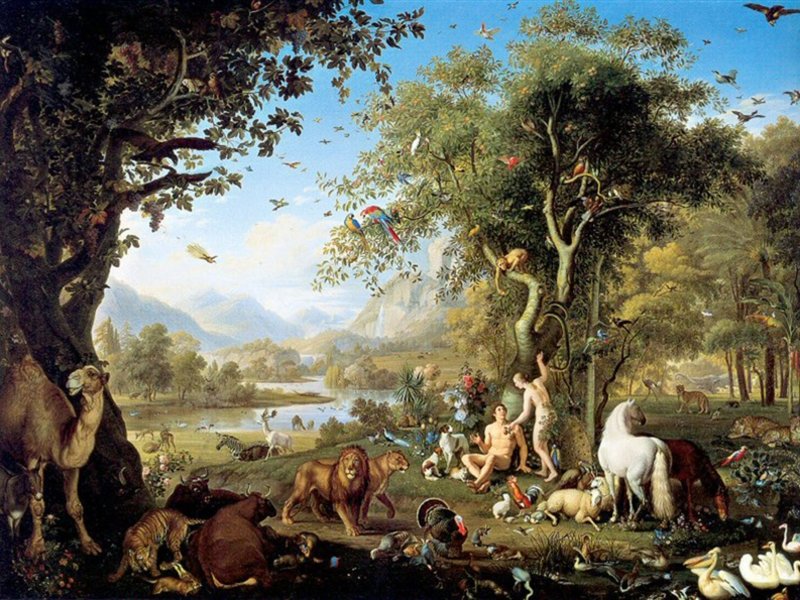 We are Nature: An Ecological View of Human Nature